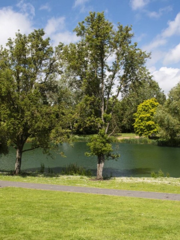 Environmental Psychology MSc masters course | University of Surrey